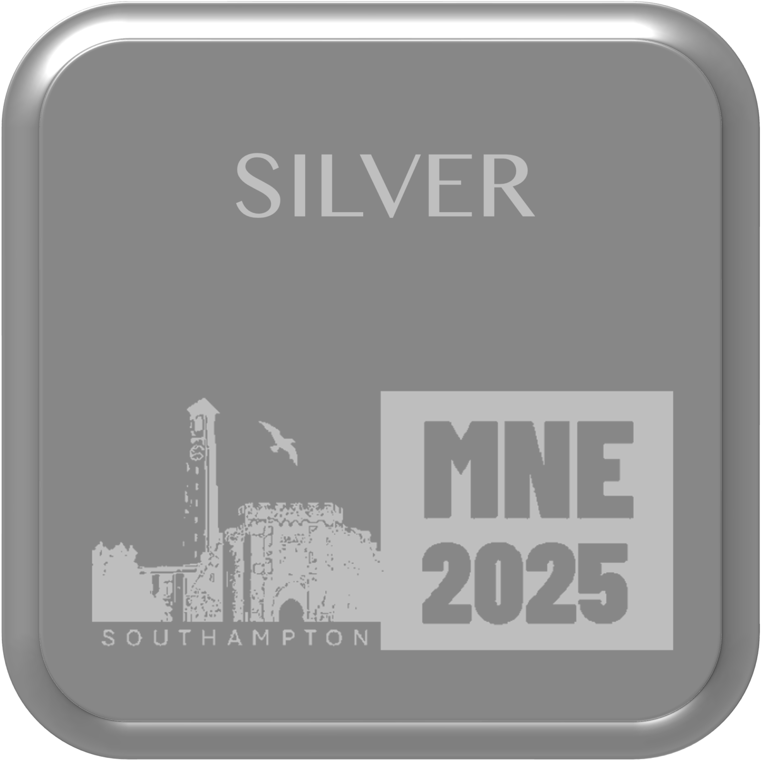MNE 2025